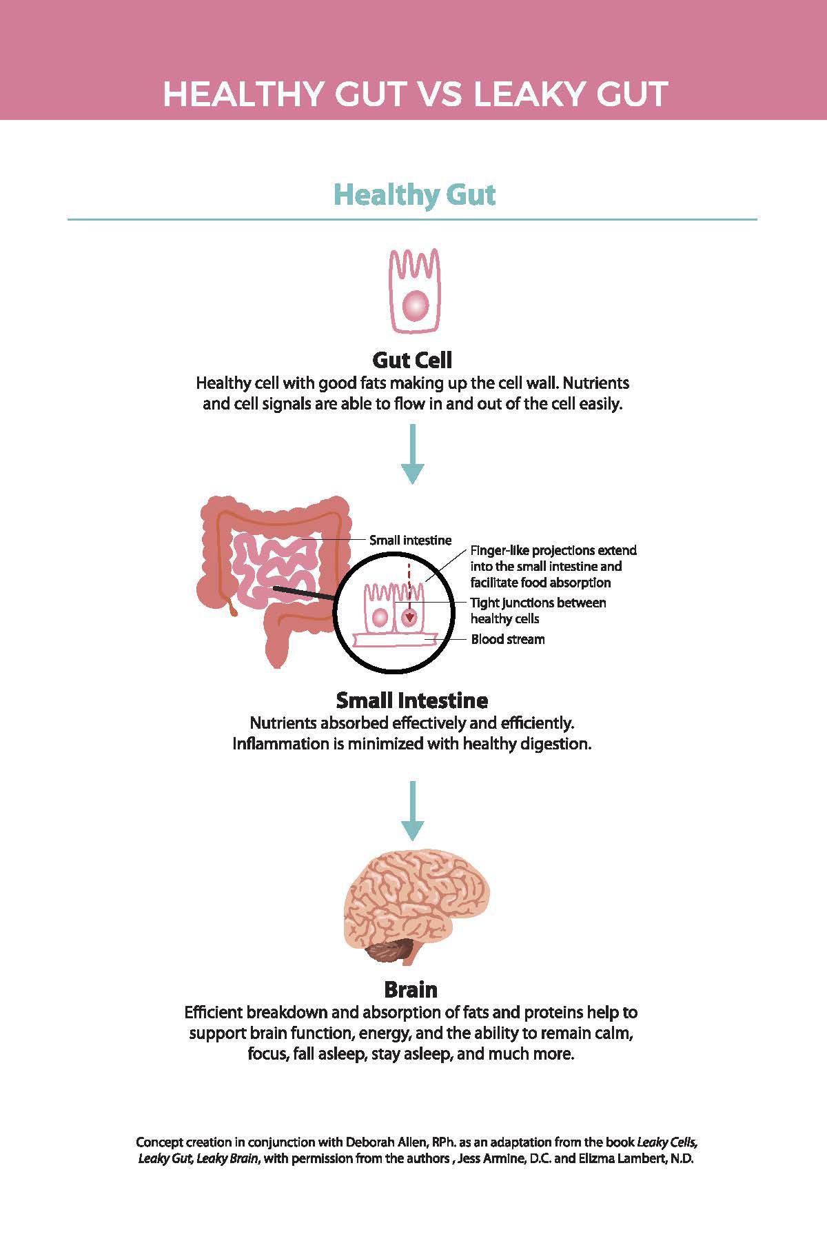 Leaky Gut: What It Is and How To Heal It - Sheila Kilbane, MD